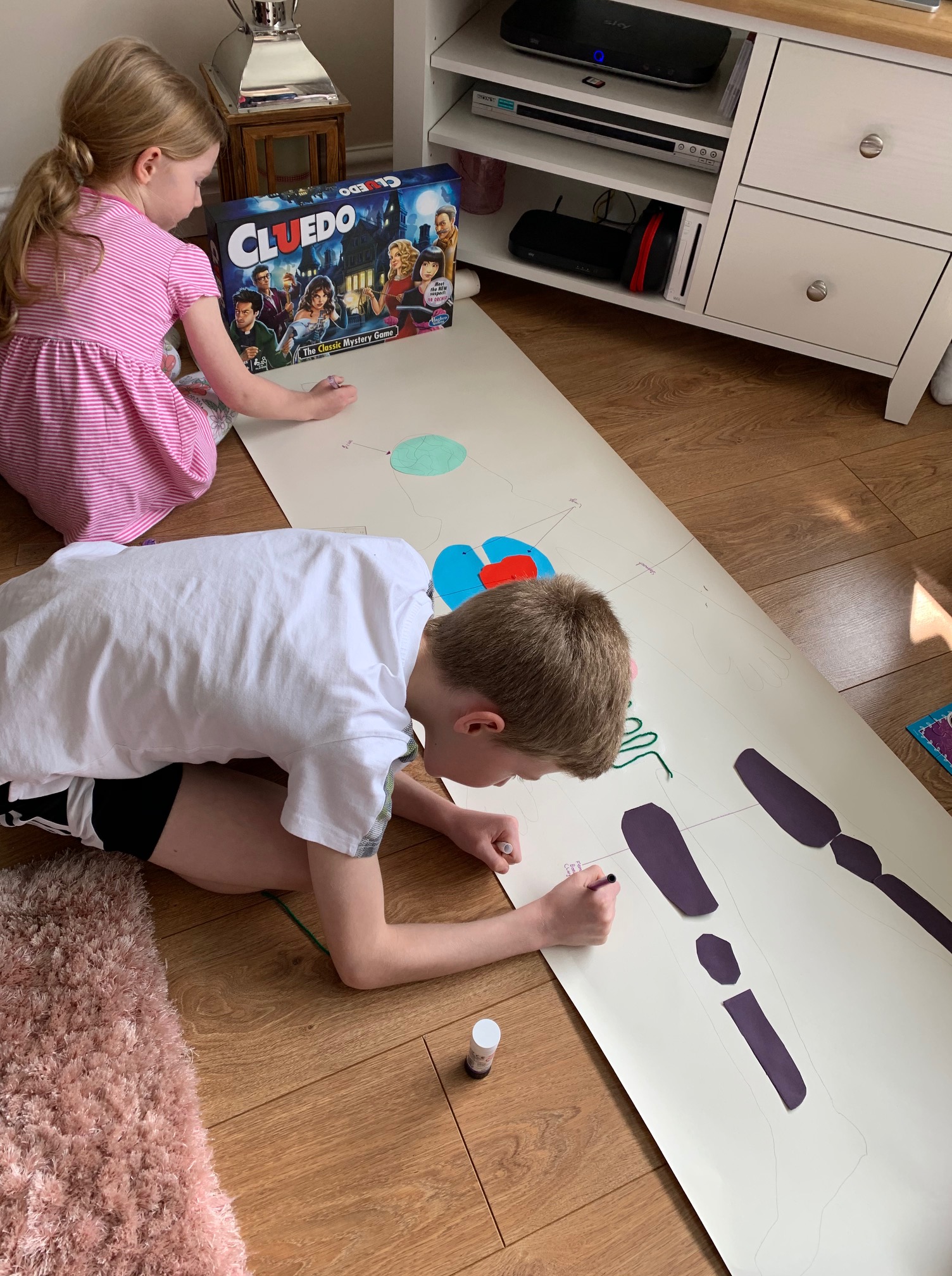 The Morris’s Human Body project – Moorfield Primary School