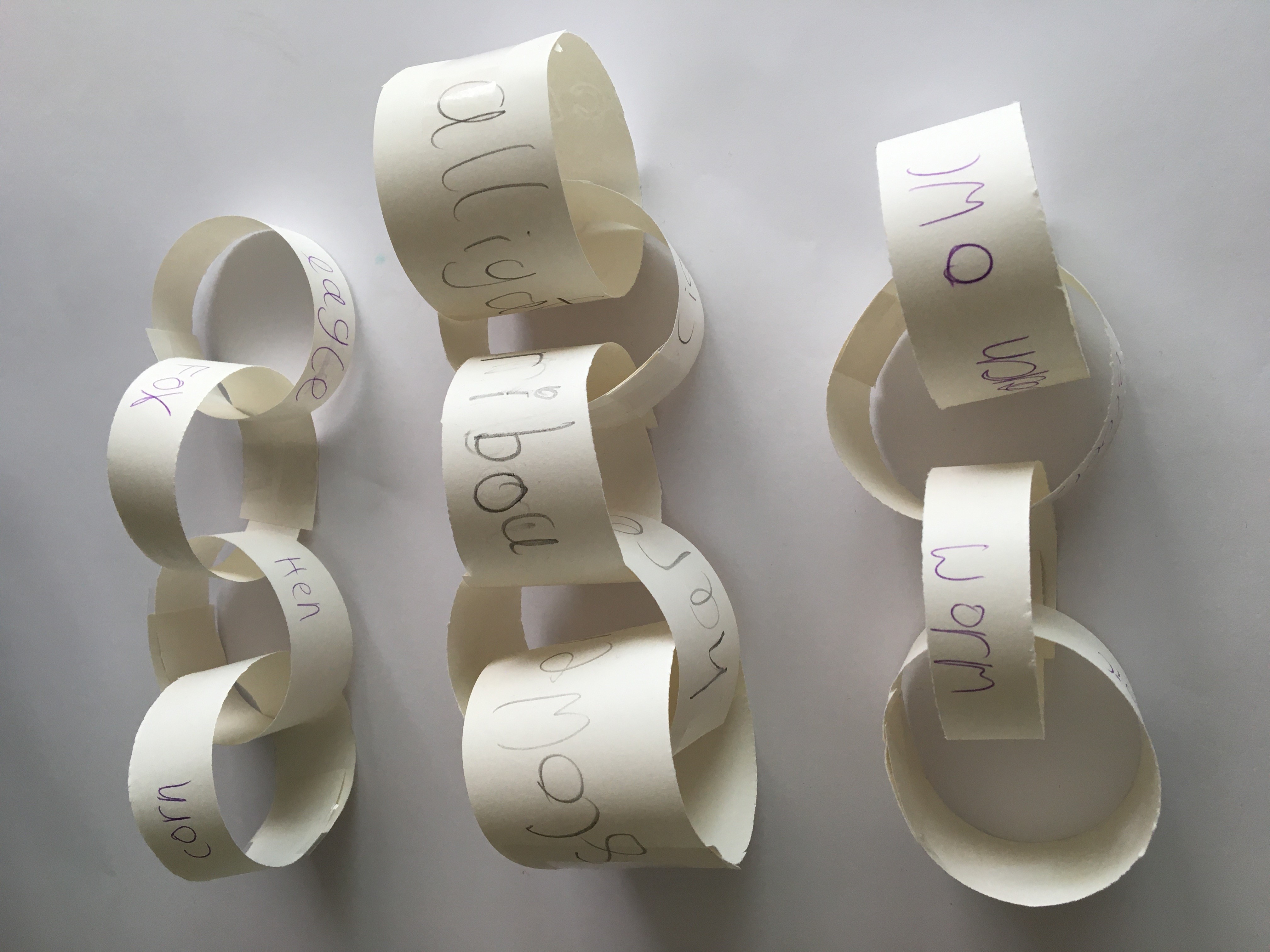 Fae’s Food Chain – Moorfield Primary School